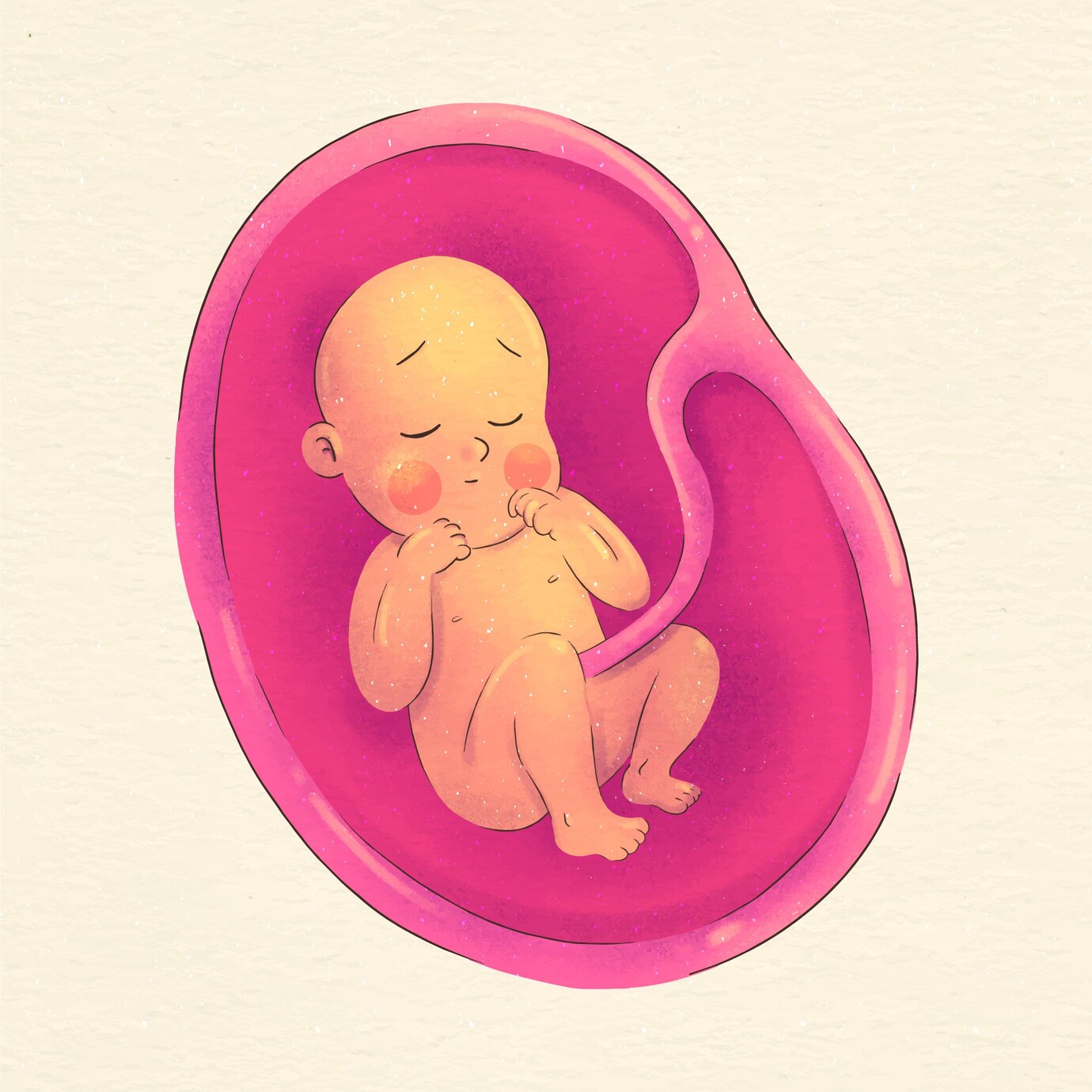 The Placenta in Pregnancy: Essential Functions and Ayurvedic Care